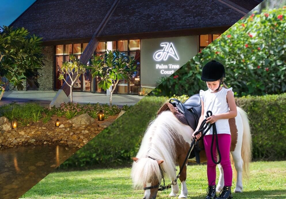 Dubai All Inclusive Beach Resorts | JA Palm Tree Court